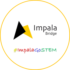 ImpalaGoSTEM – Impala Bridge